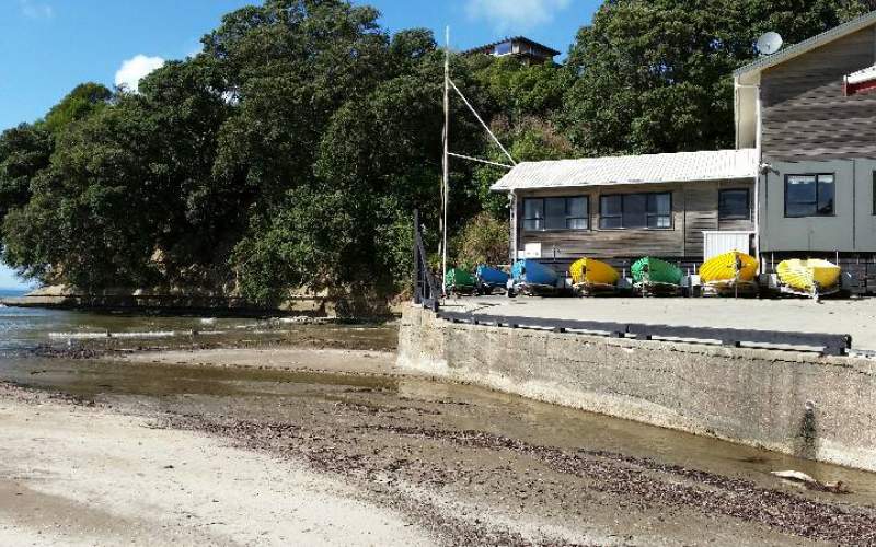 Long Bay Regional Park | Freedom/Basic Camp | New Zealand